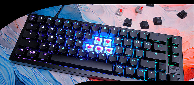 Mechanical CHERRY keyboards | Durable keyboards with CHERRY MX switches ...