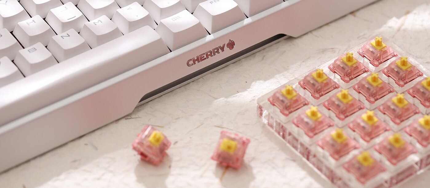 CHERRY MX BLOSSOM | Light and direct - Cherry