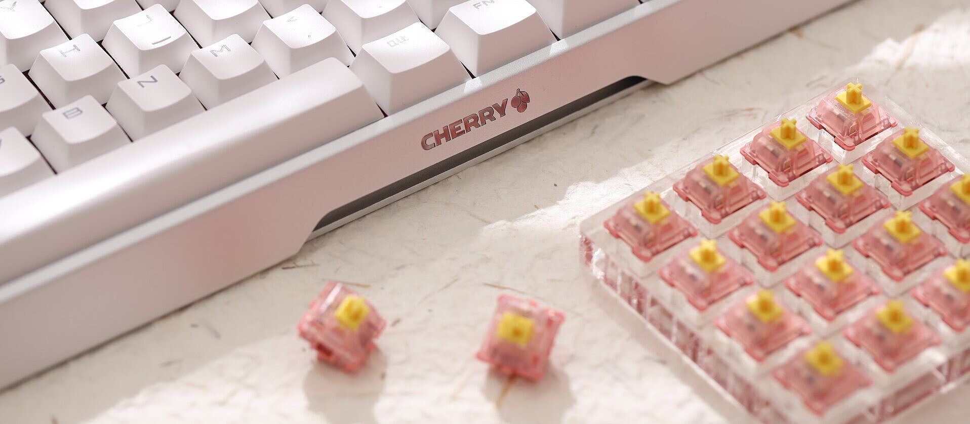 CHERRY MX BLOSSOM | Federleicht und direkt - Cherry