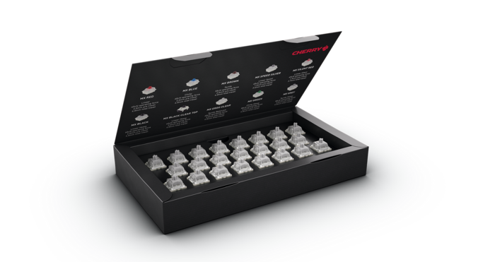 CHERRY MX RGB GREY SWITCH KIT | Box with 23 switches - Cherry