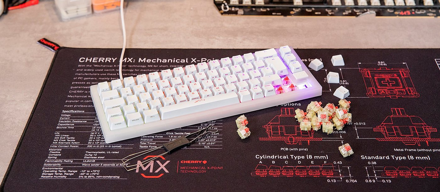 CHERRY MX RGB SILENT RED SWITCH KIT | 23 switches - Cherry