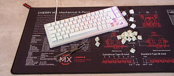 CHERRY MX GREY | Focused, robust and noticeable - Cherry