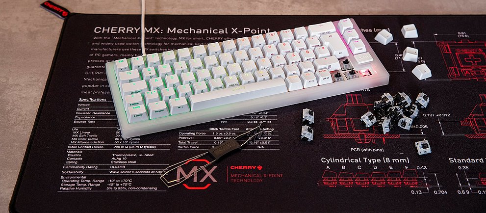 CHERRY MX BLACK CLEAR-TOP | Powerful, direct and retro - Cherry