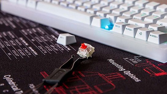 CHERRY MX RGB RED SWITCH KIT | Box with 23 switches - Cherry
