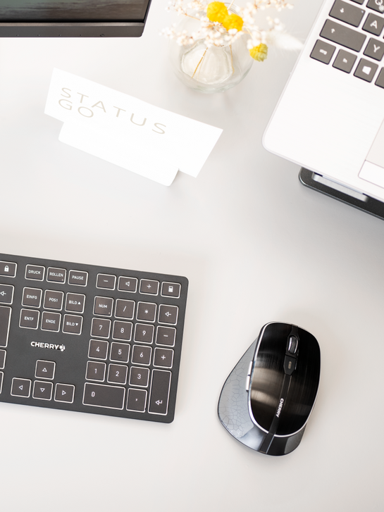 CHERRY DW 9500 SLIM | Rechargeable designer desktop - Cherry