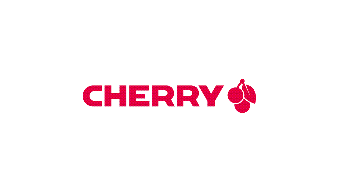 Hans-Peter Ripper wechselt als Senior Director Business Steering and Optimization zur Cherry SE ...