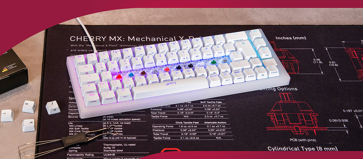 CHERRY Switches | Mechanical, Magnetic & Inductive keyboard Switches - Cherry