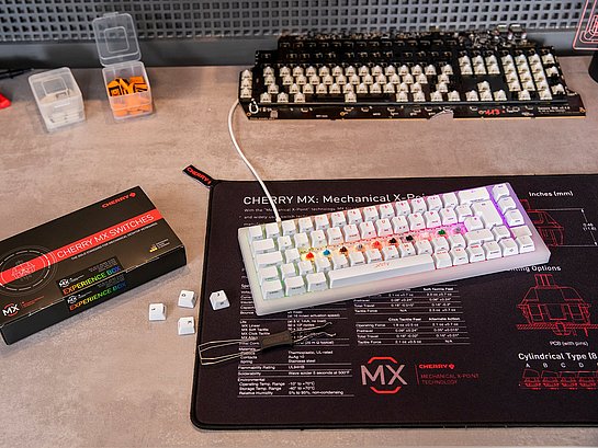 Mechanical Technology | CHERRY MX Technology explained - Cherry