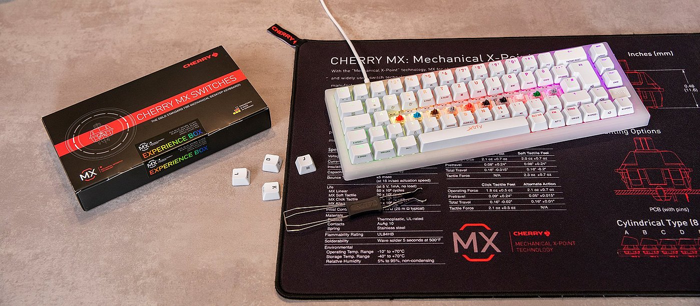 CHERRY MX EXPERIENCE BOX | 10 mechanical switches - Cherry