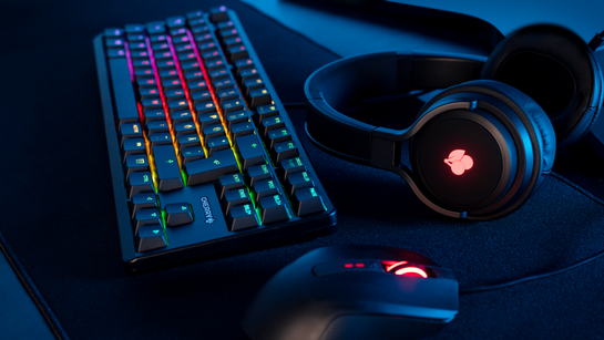 Mechanical CHERRY keyboards | Durable keyboards with CHERRY MX switches ...