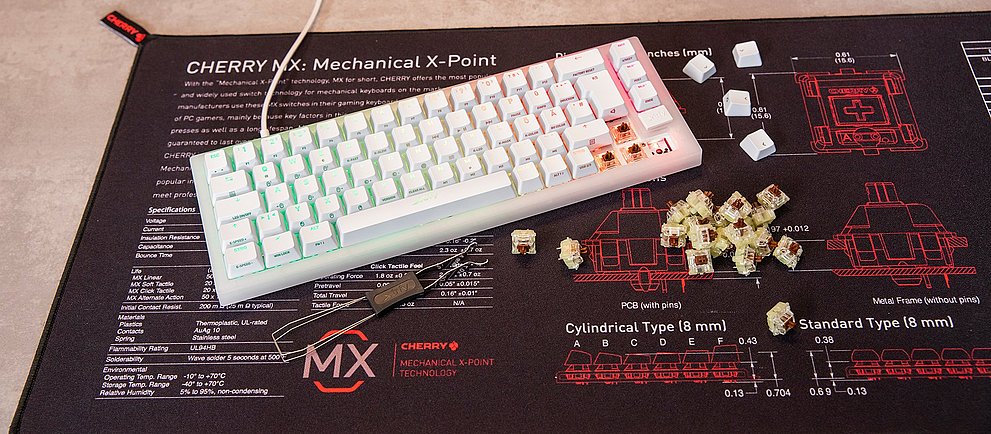 CHERRY MX BROWN | Focused and noticeable - Cherry