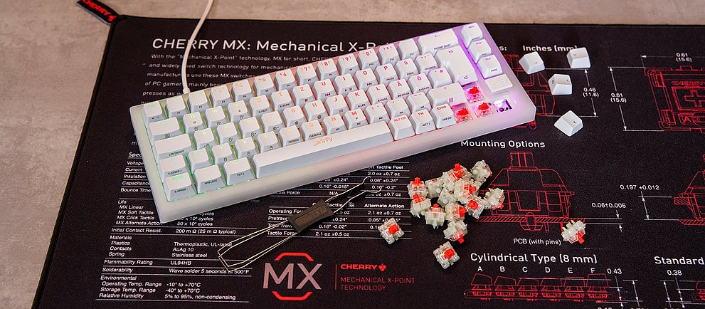 CHERRY MX RGB RED SWITCH KIT | Box with 23 switches - Cherry