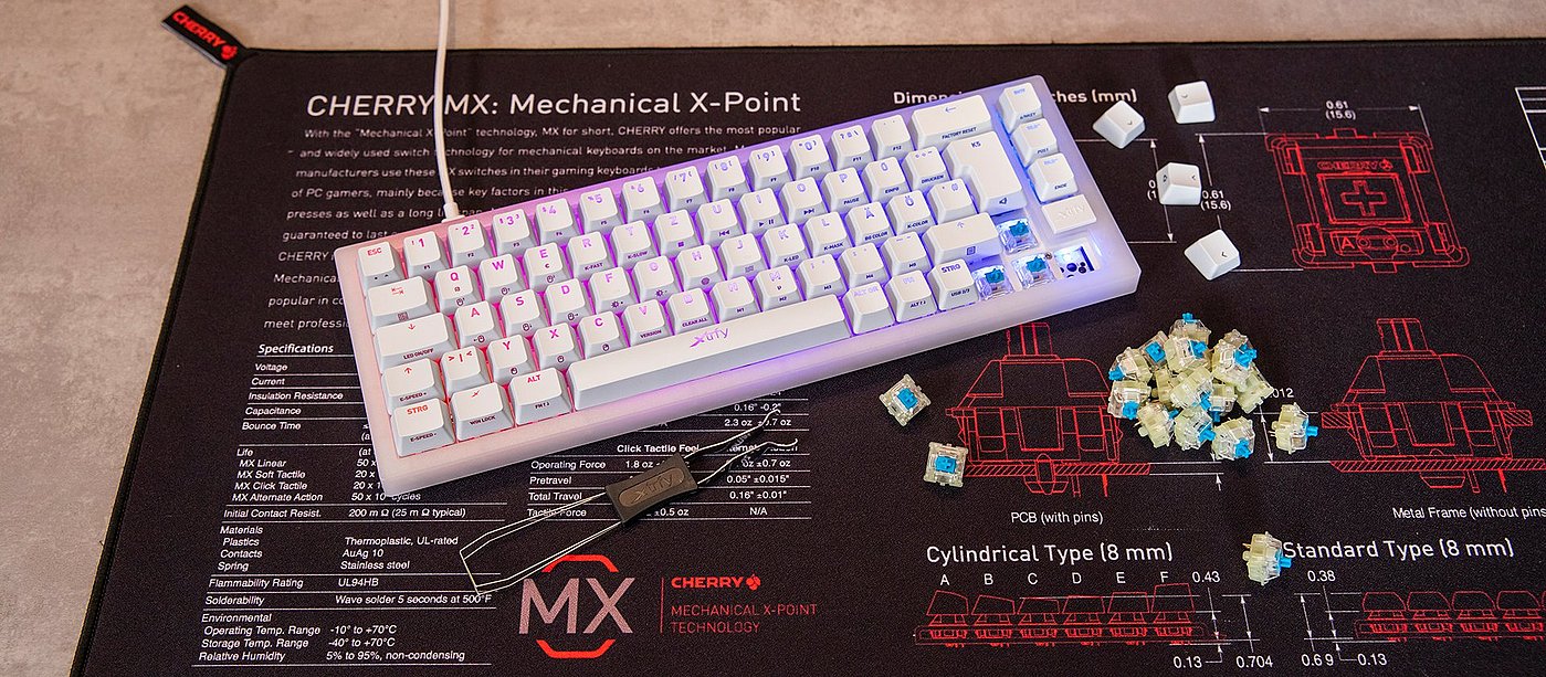 CHERRY MX BLUE | Clicky and noticeable - Cherry